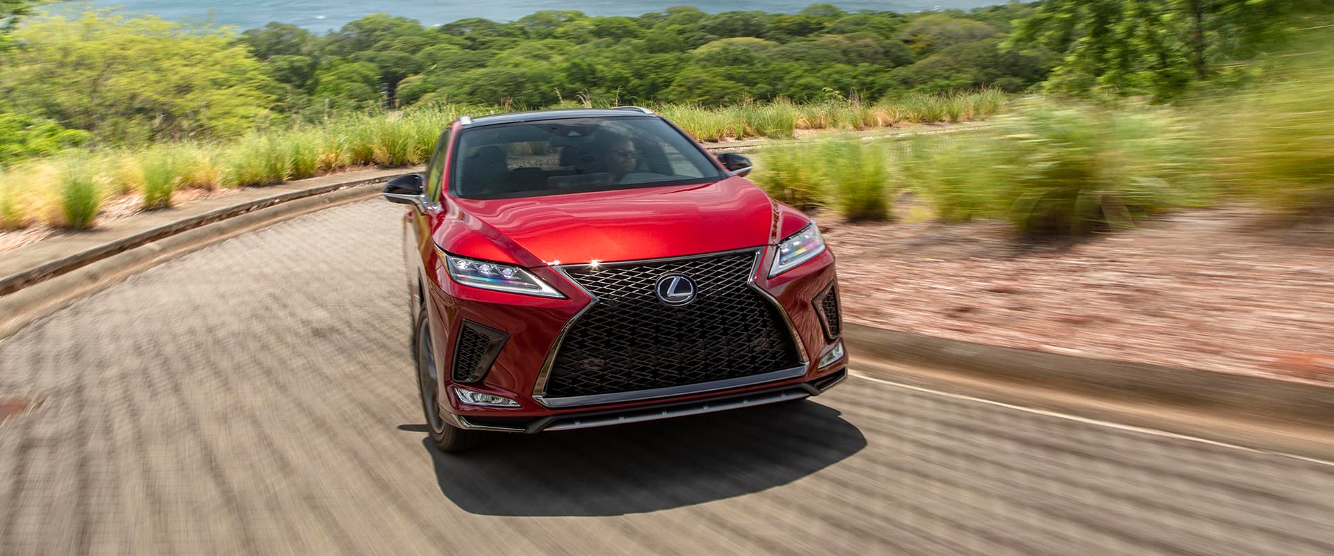 The F Marque | Lexus Cambodia